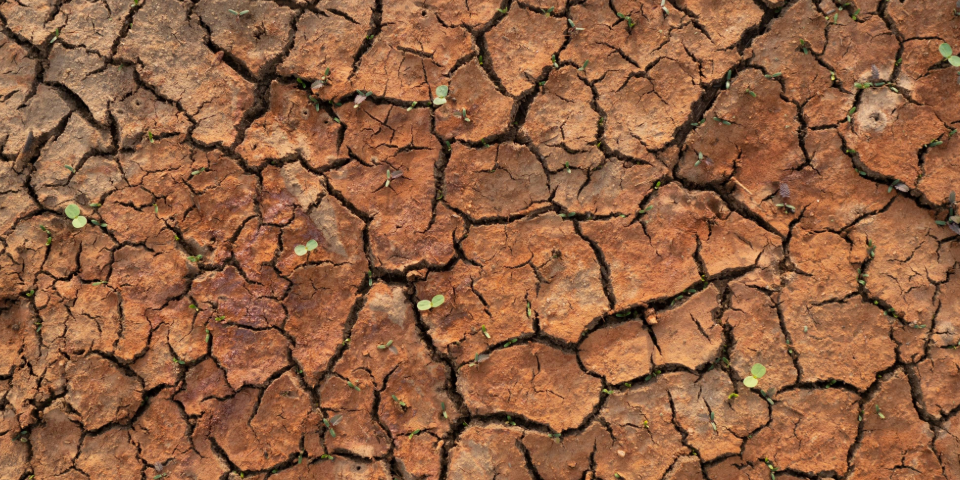 BID | El Niño 2026-2027: cómo prepararse mejor en América Latina y el ...
